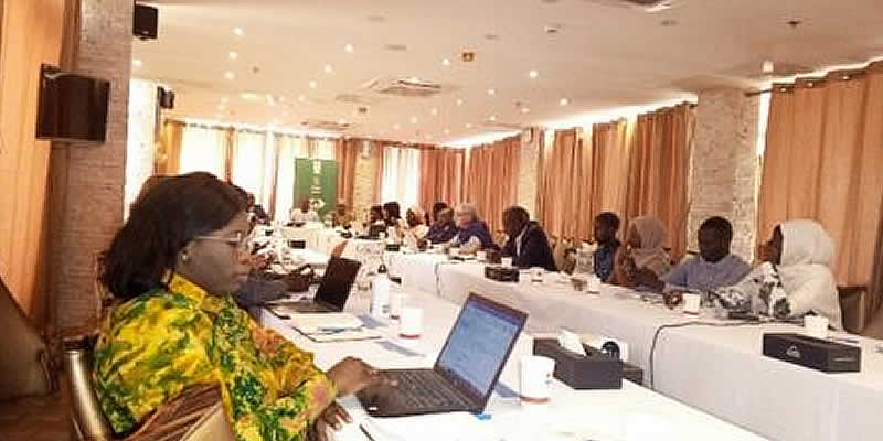 Pesticide Action Network(PAN)Africa